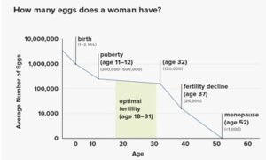Age And Fertility: A Factor, Not A Final Verdict