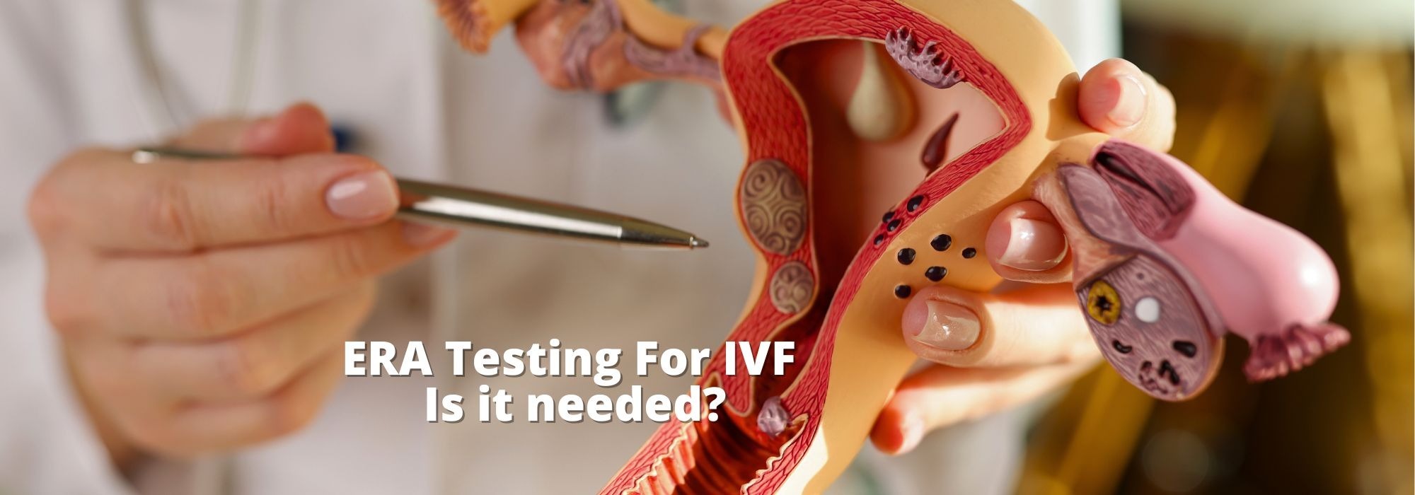 ERA Test For IVF: What It Is And When It Helps